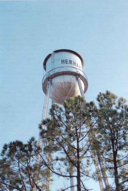 In DeSoto: Hernando Water Tower Festival